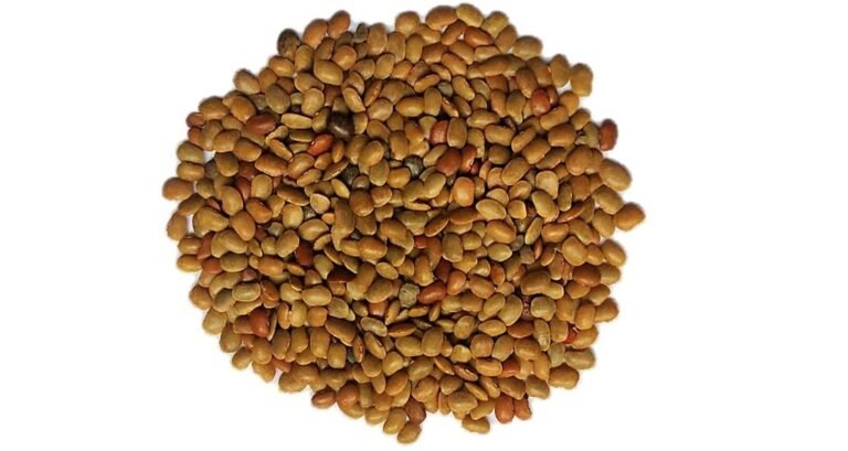 Horsegram in Telugu (తెలుగులో Horse gram uses)