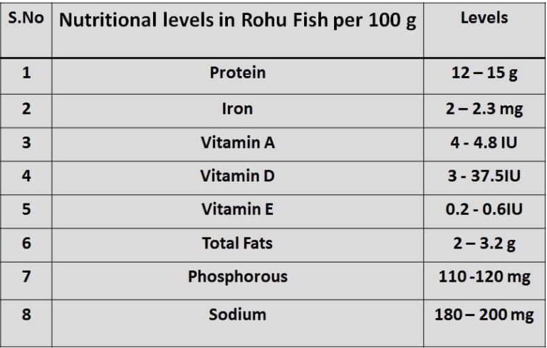 Rohu Fish in Telugu (తెలుగులో) and Its Benefits (Good or Bad for Health)