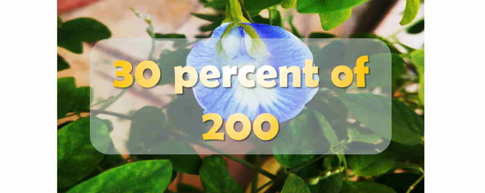 What Is 30 Percent Of 200 Dollars Rupees Pounds Or Euro Simple